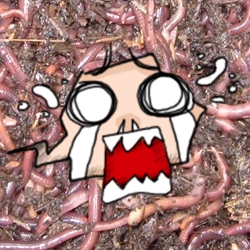 The Wormz Organic Scam & The Ugly Face of Worm Farming - Worm Farming ...